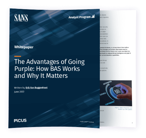 The Advantages of Going Purple: How BAS Works and Why It Matters