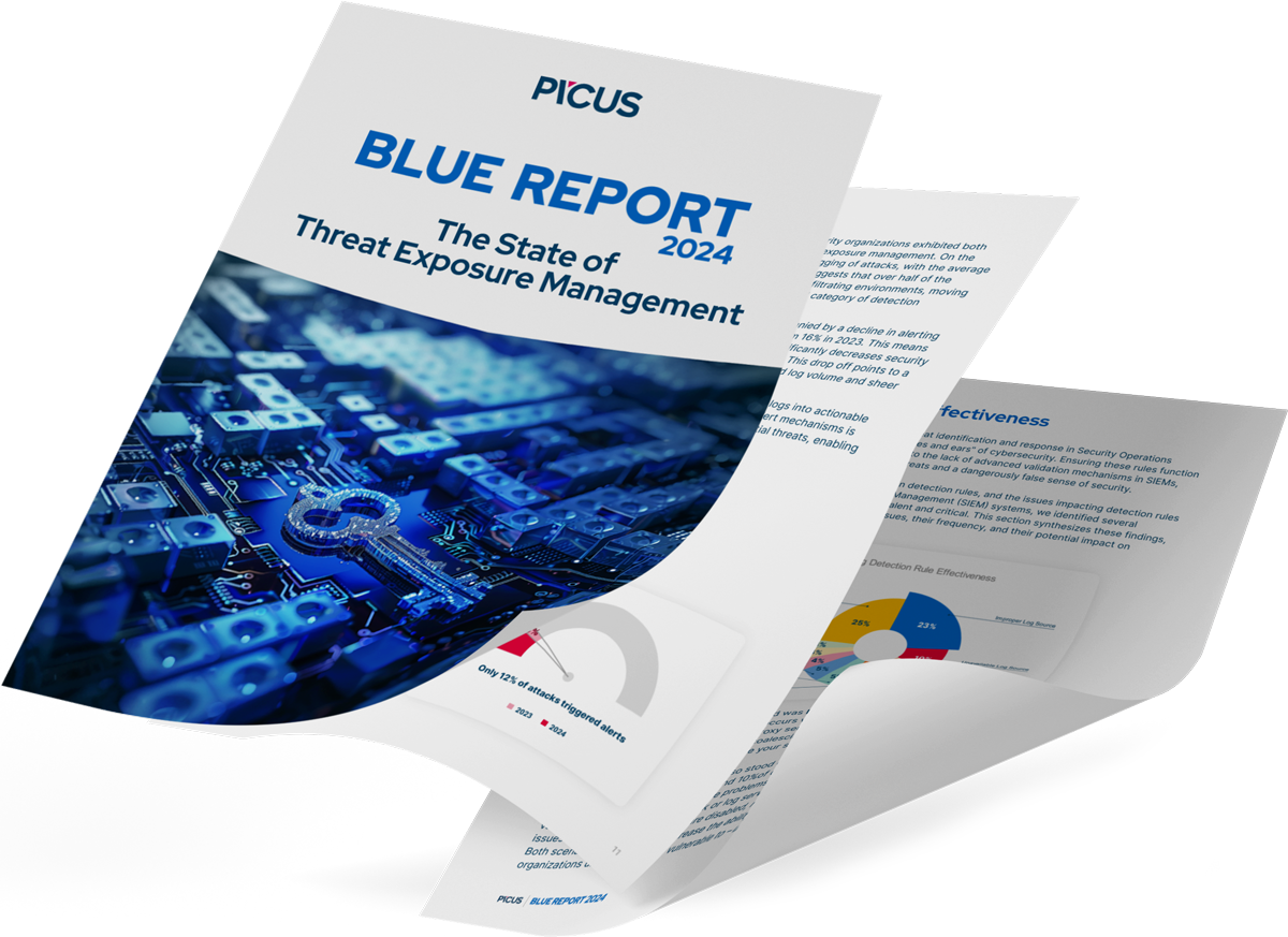 Blue Report 2025