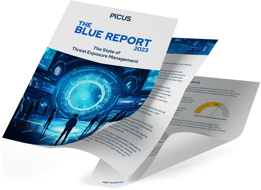 Blue Report 2025