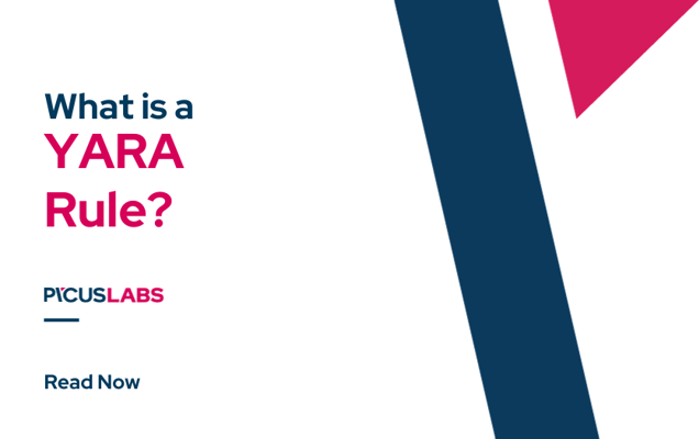 What Is a YARA Rule? YARA Rules Explained | Picus