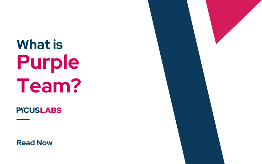 What Is Purple Team In Cybersecurity? | Picus