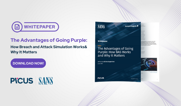 The Advantages of Going Purple: How BAS Works and Why It Matters