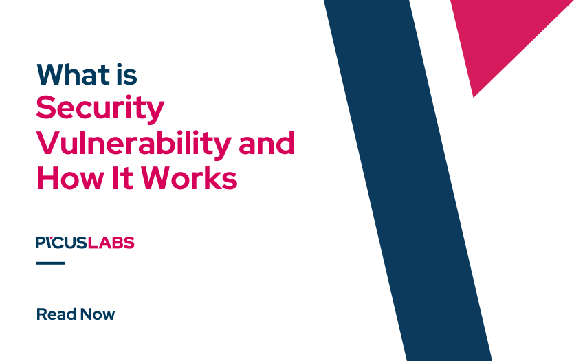 What Is a Security Vulnerability and How It Works